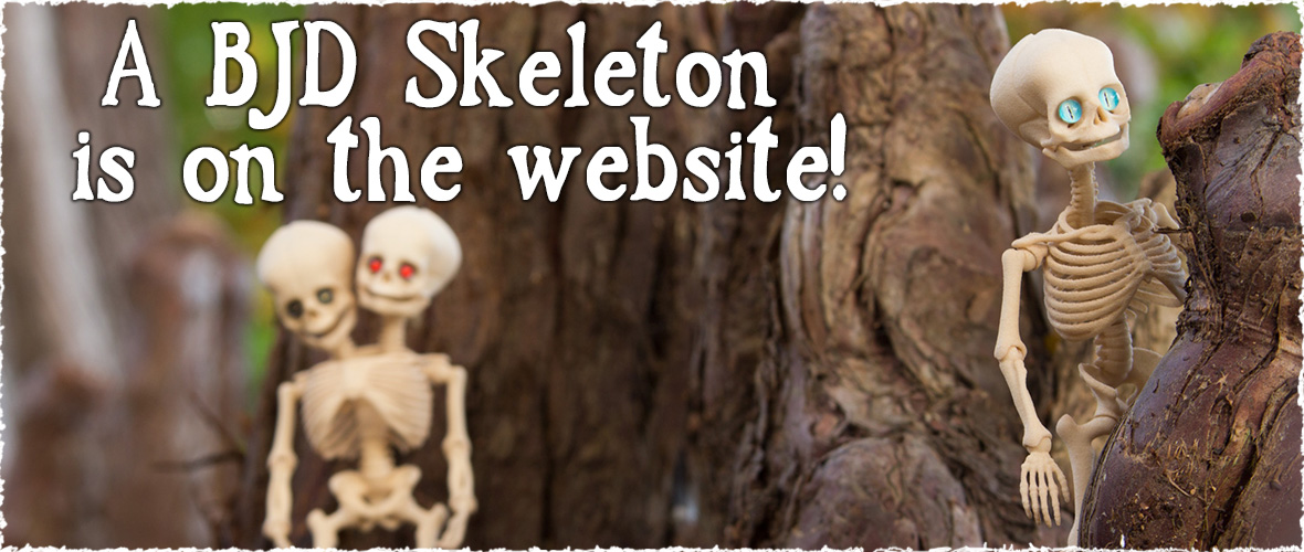 Walloya Morring official website